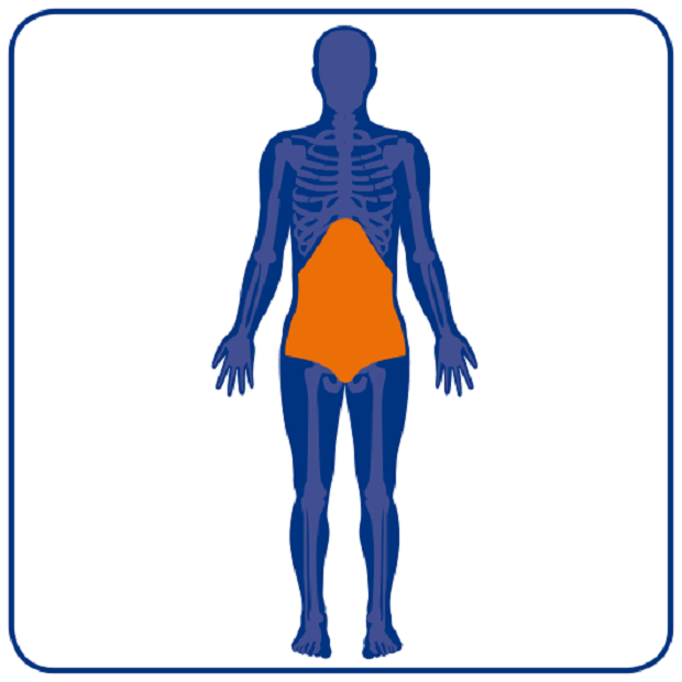 Romp | OIM Orthopedie
