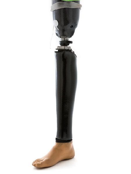 Soorten beenprotheses – Studio kop en schotel